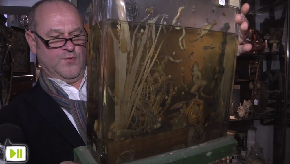 Strasbourg : d'étranges antiquités et curiosités - Antiquités Richard